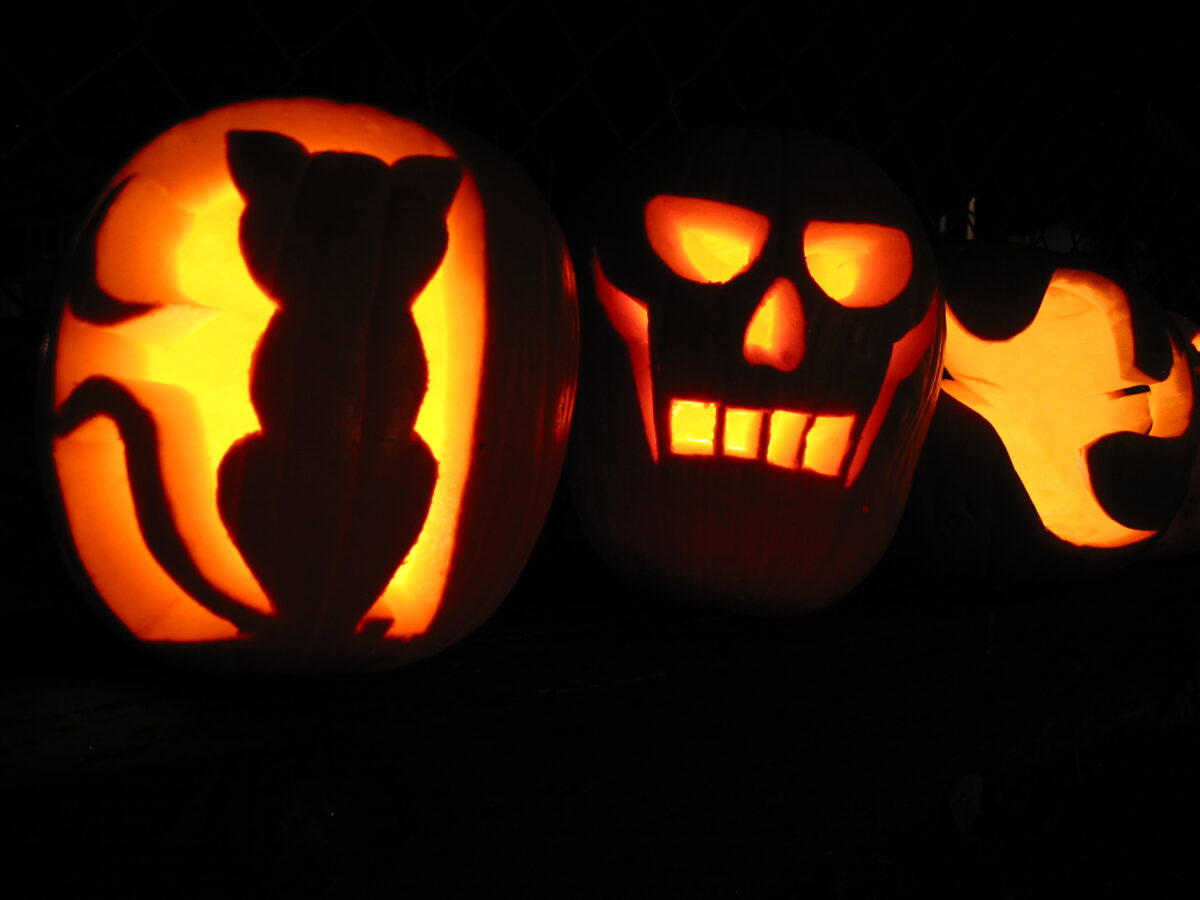 Halloween Pumpkin Designs - MGT Design