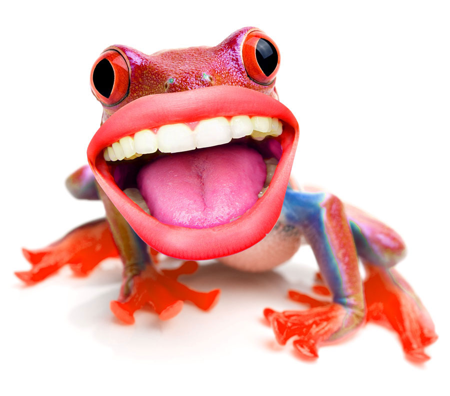 Web Design & Website Development from Northampton Designers